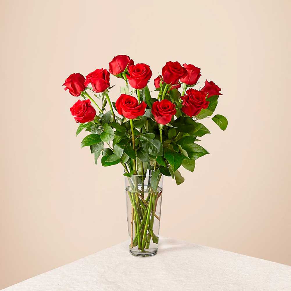 Flores Con Tallos Largos Rosas Rojas De Tallo Largo